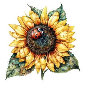 Sunflower With Ladybug Clipart Bundle, 16 High-quality JPG, Craft Art ...