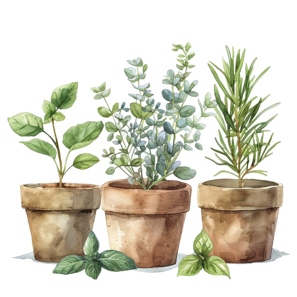 15 Herbs in a Line of Pots Clipart Bundle, 15 High-quality JPG, Craft ...