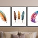 14 Boho Feather Clipart Bundle, High-quality JPG, Invitations, Card ...