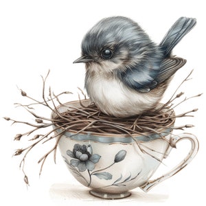 16 Cute Bird in a Tea Cup Nest Clipart Bundle, 16 High-quality JPG ...