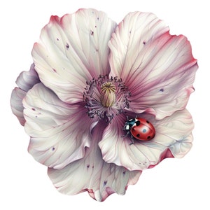 Ladybug on Flowers Clipart Bundle, 16 High-quality JPG, Craft Art, Card ...