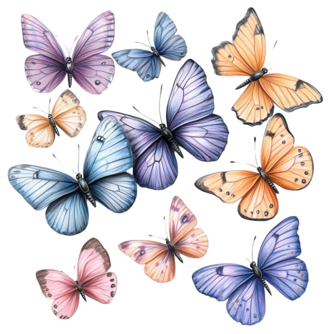 Butterflies Multi Color Clipart Bundle, 16 JPG and Transparent PNG ...