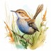 14 Wren Bird in Grass Clipart Bundle, High-quality JPG, Craft Art, Card ...