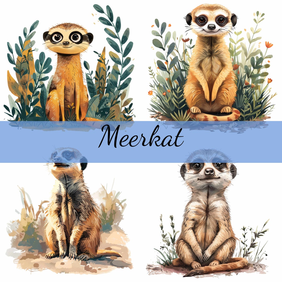 15 Cute Meerkat Flowers Clipart Bundle, 15 High-quality JPG, Craft Art ...