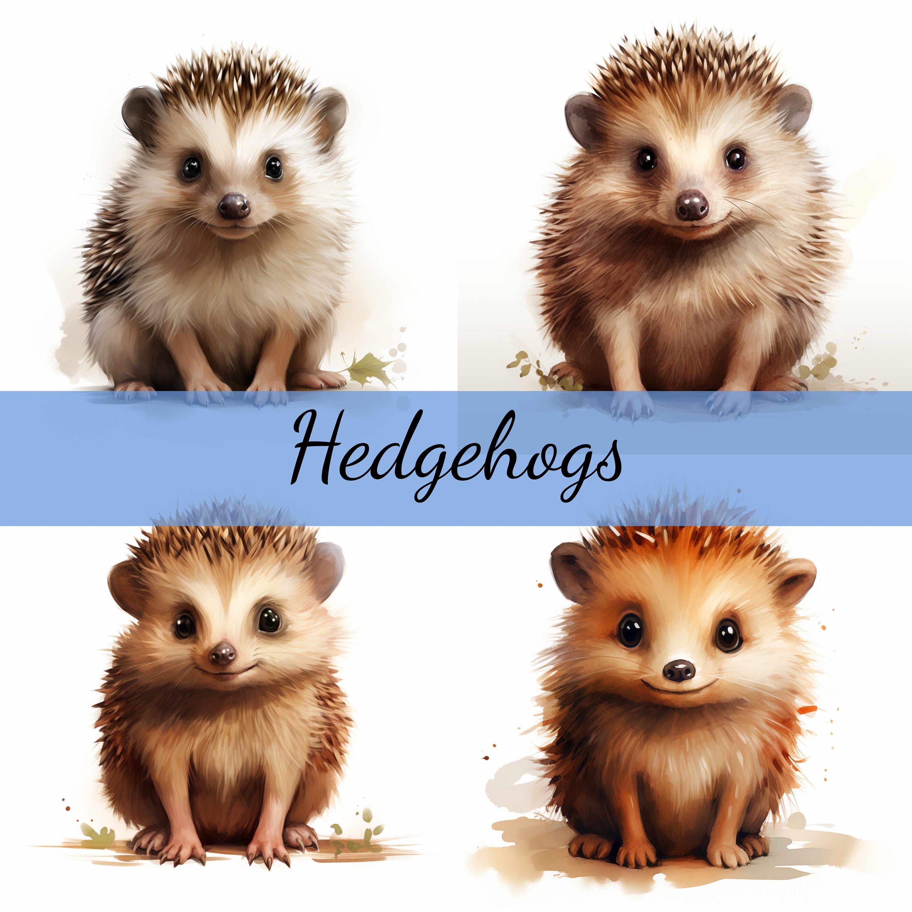 12 Cute Hedgehogs Clipart Bundle, High-quality JPG, Craft Art, Card ...