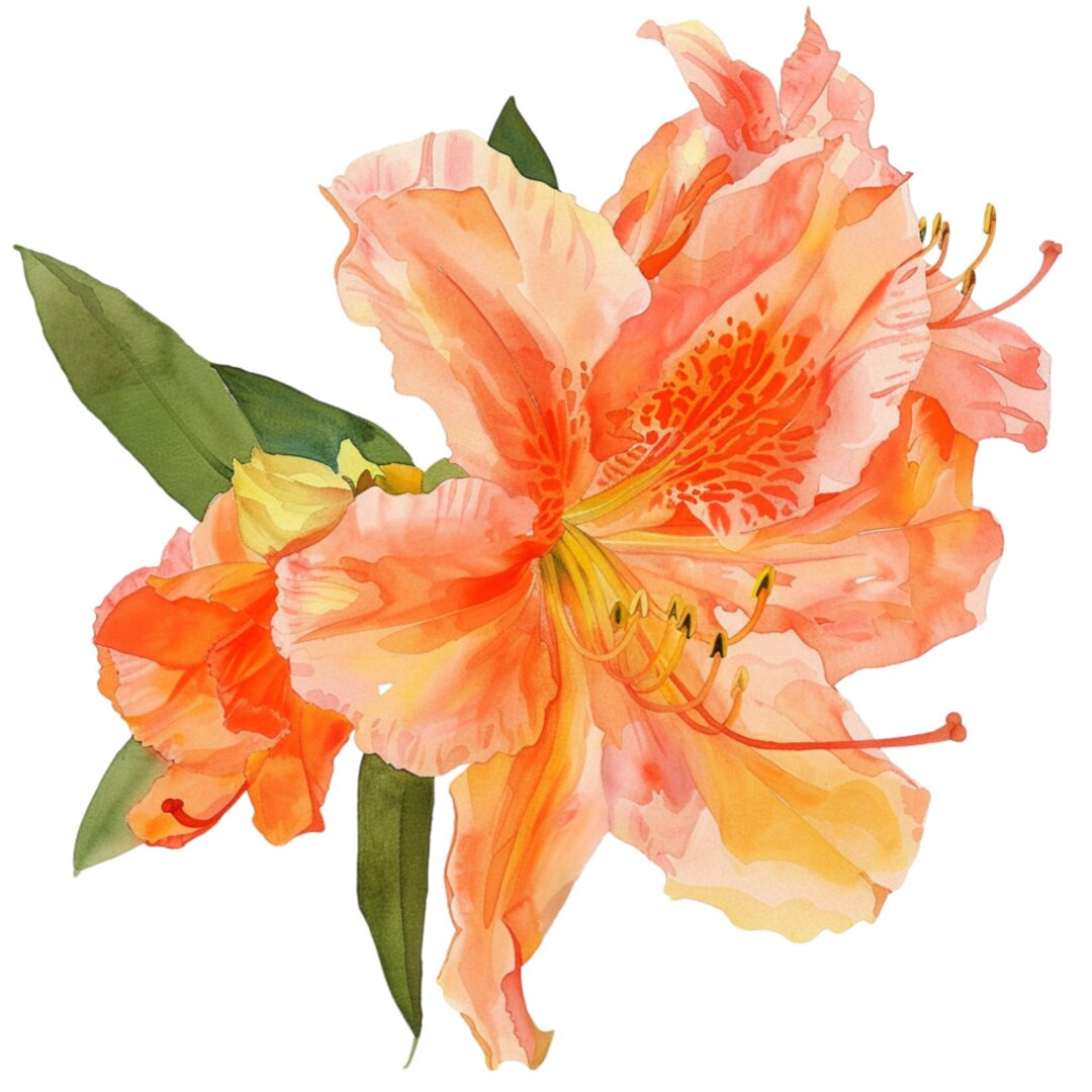 Azalea Flower Mix Clipart Bundle, 15 High-quality JPG, Craft Art, Card ...