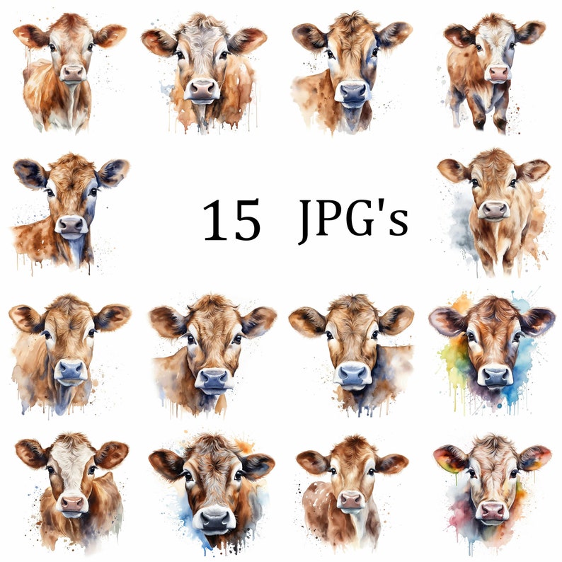 15 Cows Without Horns Clipart Bundle High-quality JPG - Etsy