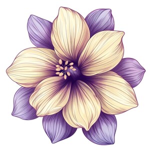 Abstract Flower Purple and Yellow Clipart Bundle, 16 High-quality JPG ...