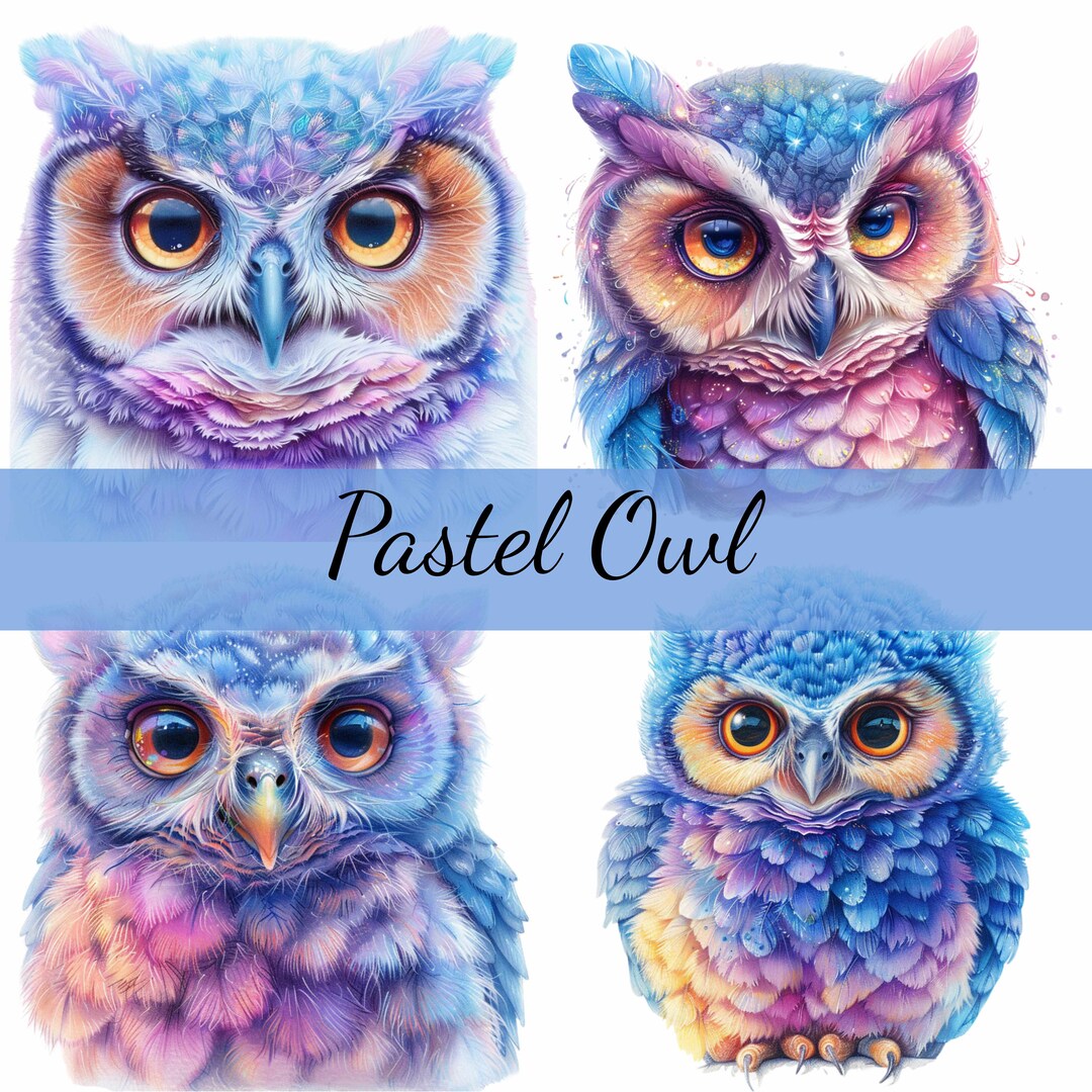 16 Pastel Iridescent Owl Clipart Bundle, 16 High-quality JPG, Craft Art ...