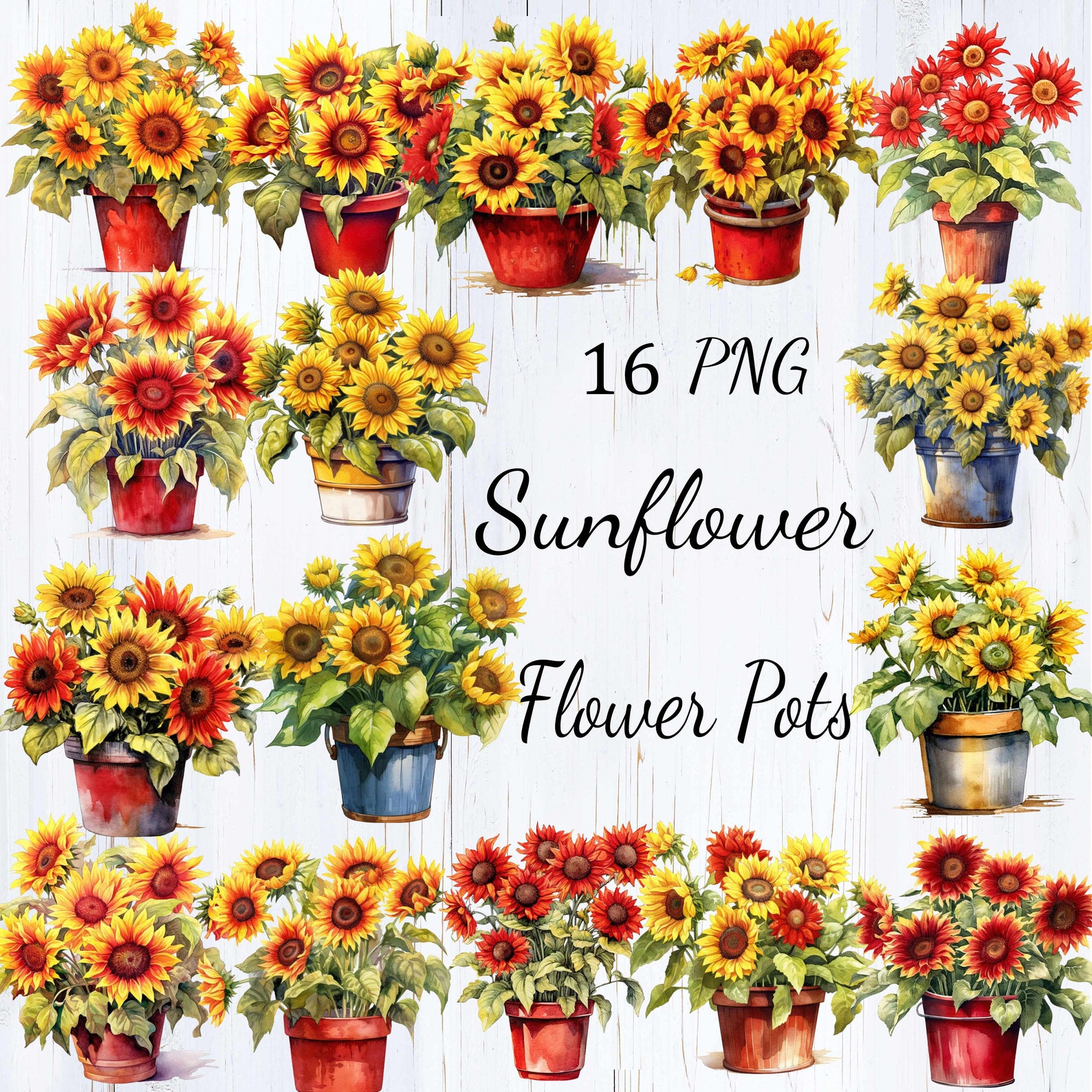 16 Red Sunflowers in Pots Clipart Bundle, High-quality PNG, Watercolor ...