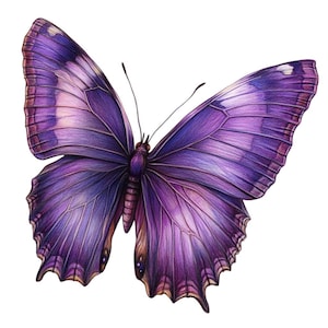 Purple Butterflies Clipart Bundle, 15 High-quality JPG, Craft Art, Card ...