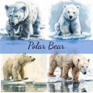 Polar Bear on Ice and Snow Clipart Bundle, 16 High-quality JPG, Craft ...