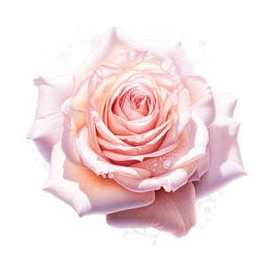 Singe Cosmic Rose Flower Clipart Bundle, High-quality JPG, Craft Art ...