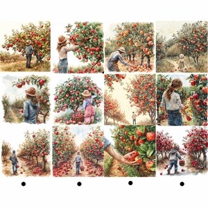 Apple Orchard Picking Clipart Bundle, 12 High-quality JPG, Craft Art ...