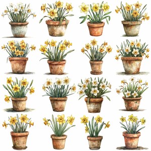 Daffodil in Flower Pot Clipart Bundle, 16 High-quality JPG, Craft Art ...