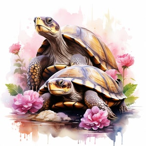 12 Turtle and Friends Clipart Bundle, High-quality JPG, Nursery Art ...