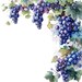 Grape Corner Frame Clipart Bundle, 16 High-quality JPG, Craft Art, Card ...