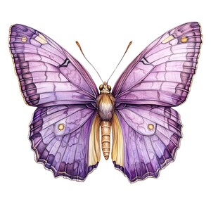 Purple Butterflies Clipart Bundle, 15 High-quality JPG, Craft Art, Card ...