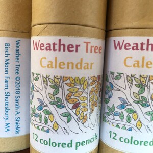 Weather Tree 11x17 Coloring Calendar 2025 - Nature Activity and Gift ...