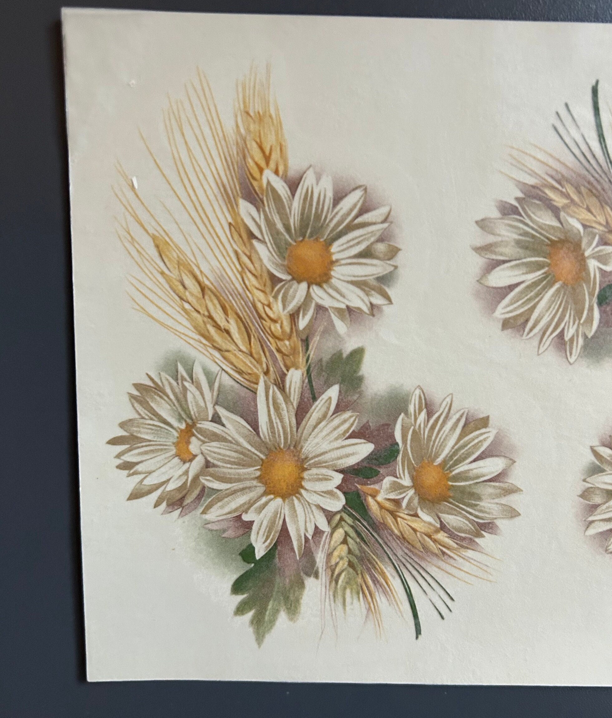 Vintage Ceramic Water Slide Decals of Daisy & Wheat - Etsy