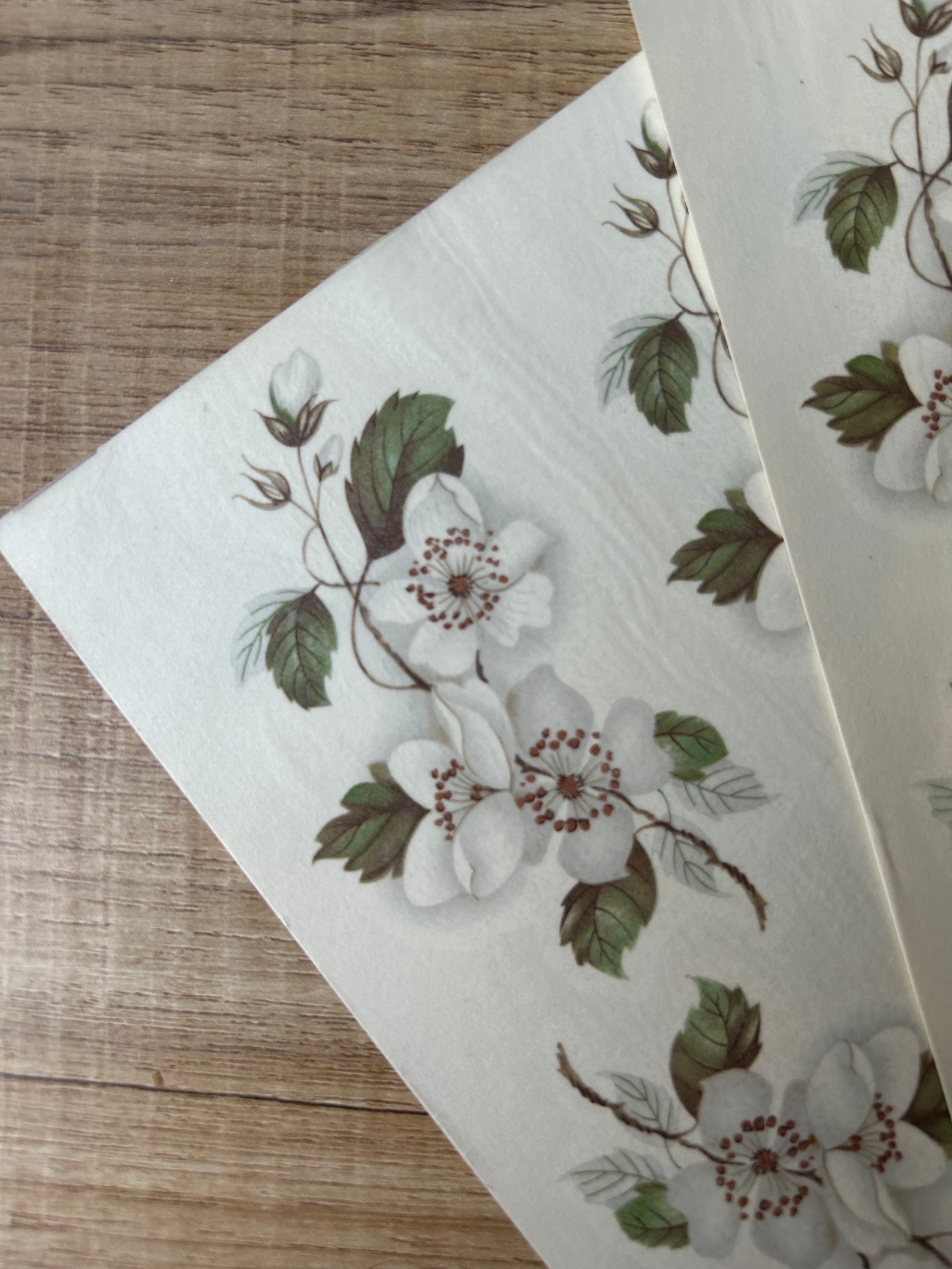 Vintage Ceramic Water Slide Decals of White Magnolias. - Etsy