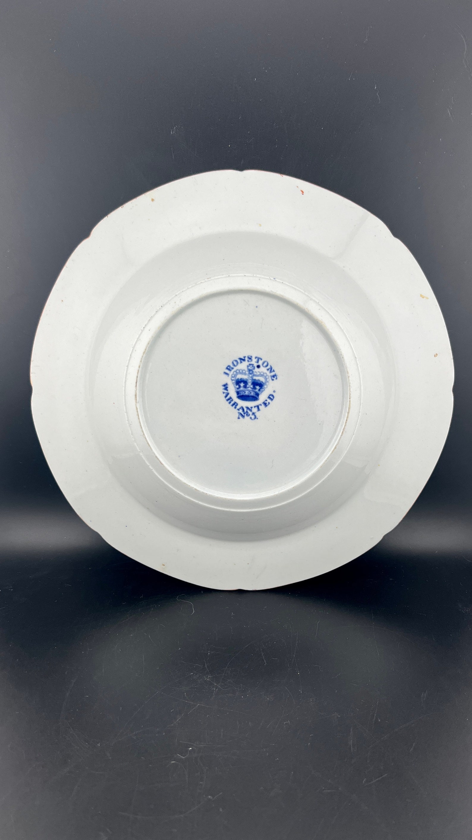 Georgian Hicks & Meigh Ironstone Plate Hand Painted Water Lily Pattern ...