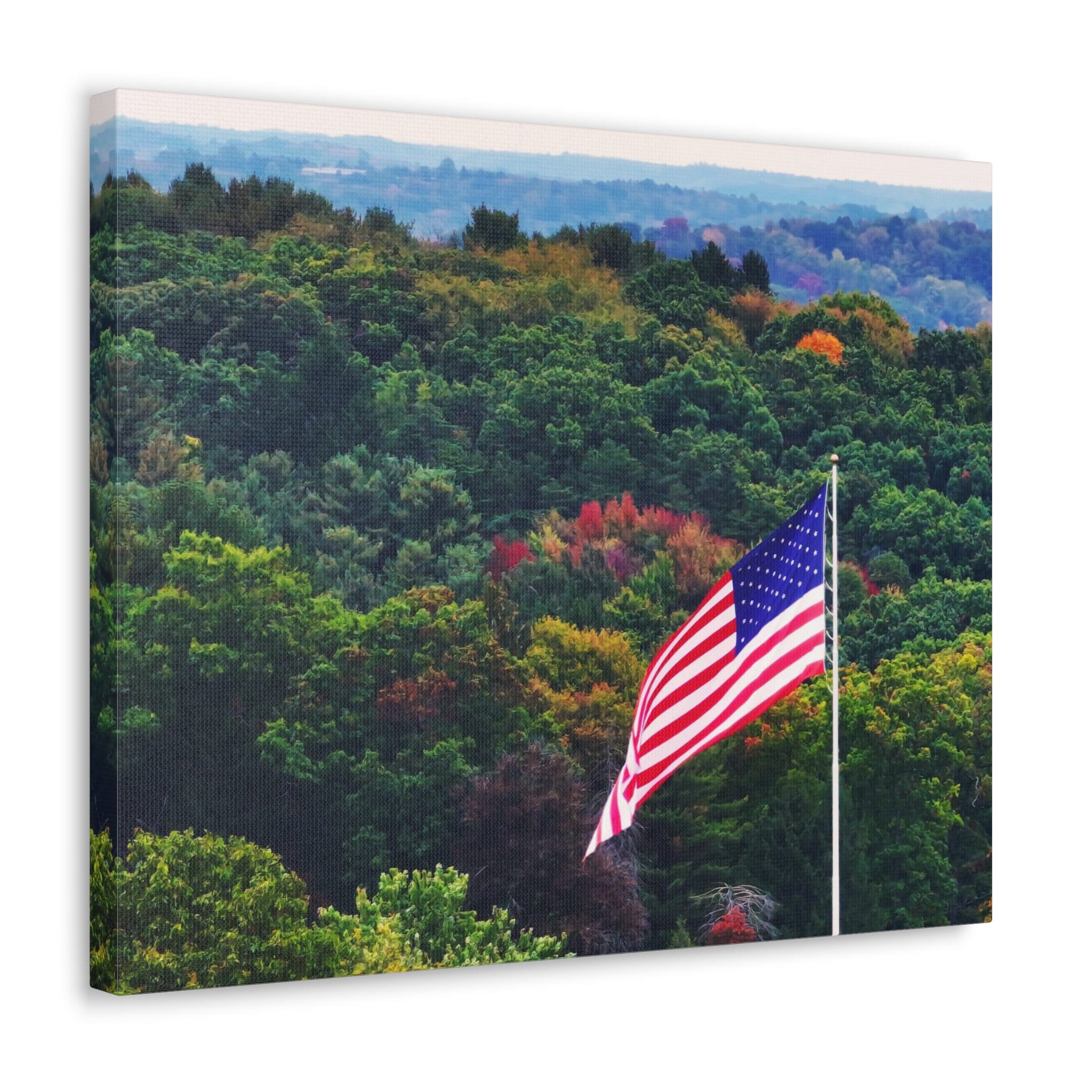 Flying High From Afar American Flag Patriotic America Artwork Wall ...