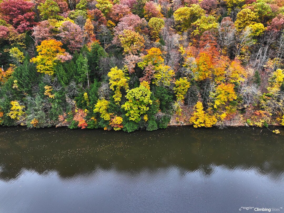 Fall Foliage Front - Digital Download Image Photo Print Nature Outdoors ...