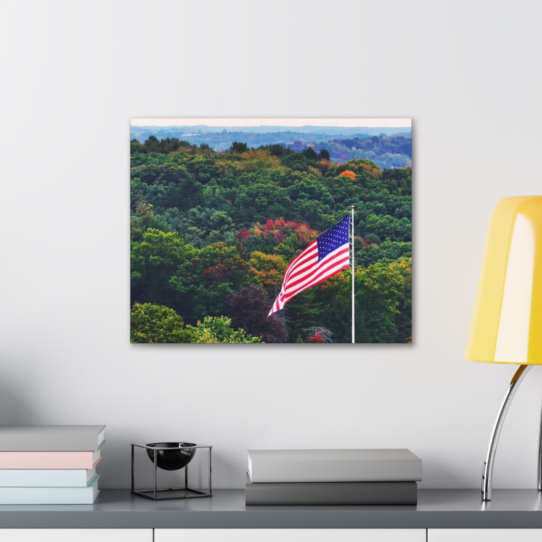 Flying High From Afar American Flag Patriotic America Artwork Wall ...
