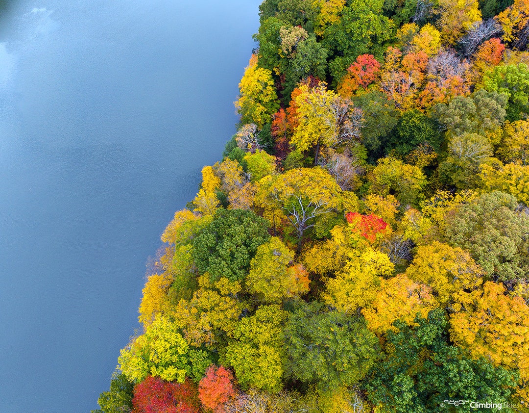 Overhead Fall Foliage - Pennsylvania Nature Landscape Water Lake Trees ...