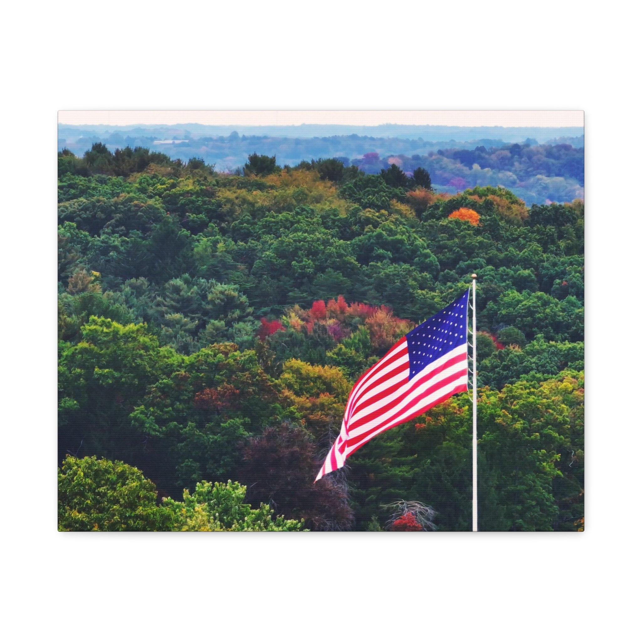 Flying High From Afar American Flag Patriotic America Artwork Wall ...