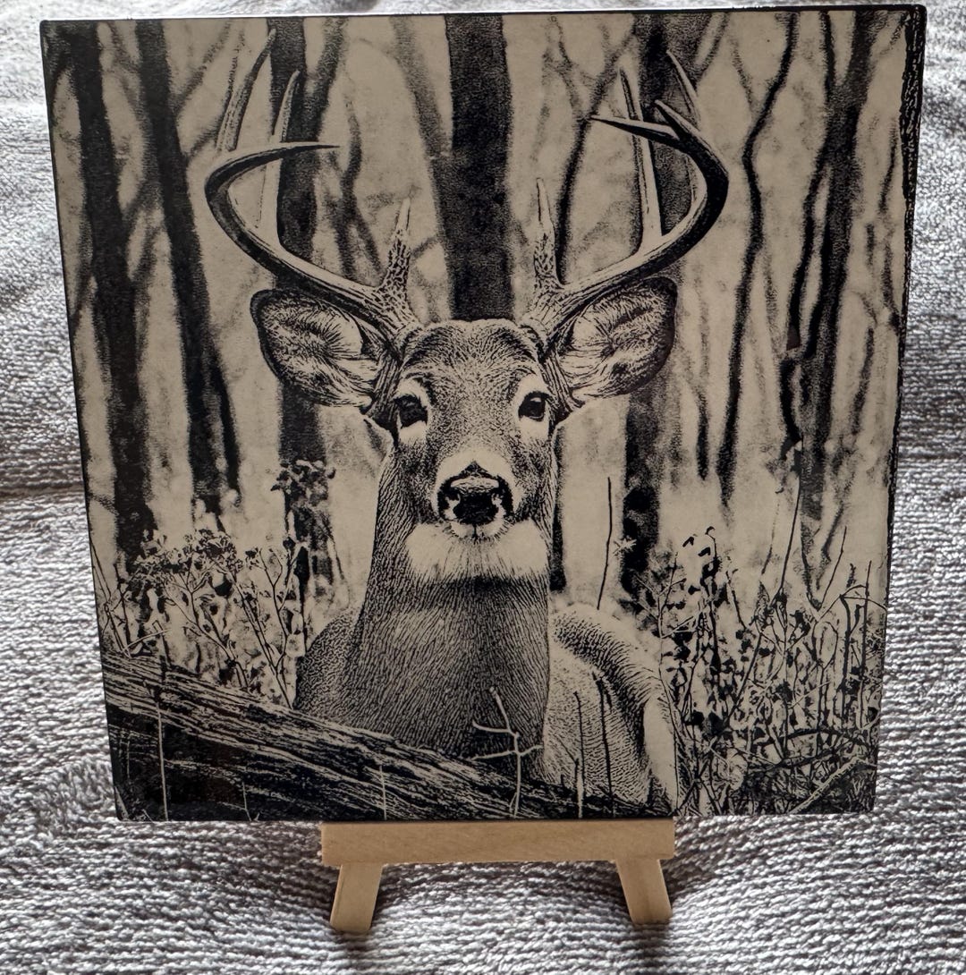 Whitetail Deer Buck Adirondack Trophy Forest 6"x6" Ceramic Tile ...