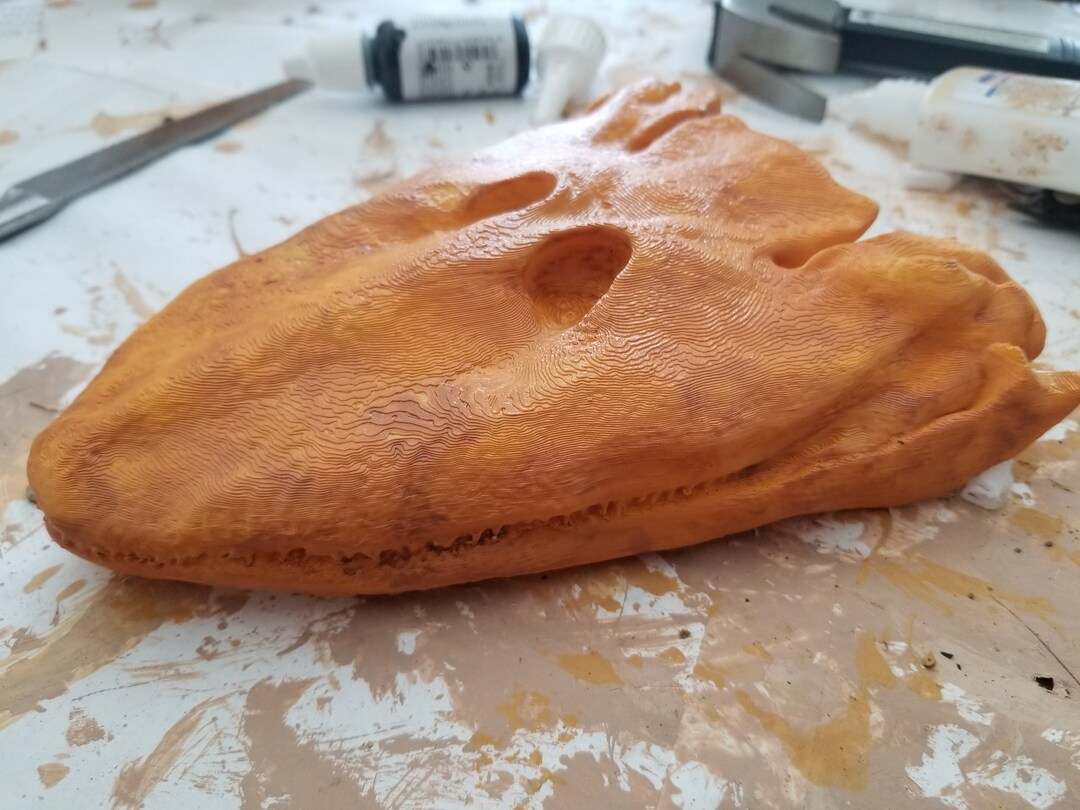 3-D Printed a Life Size Fossil Fish Tiktaalik - Etsy