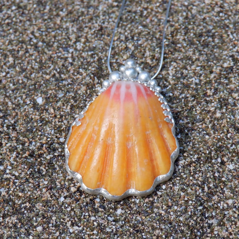 Sunrise Shell Necklace - Etsy