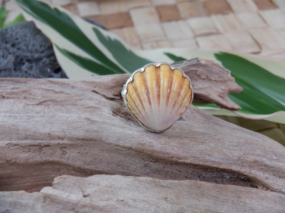 Hawaiian Sunrise Shell Ring in Sterling Silver - Size 8.5 - Kauai - Etsy