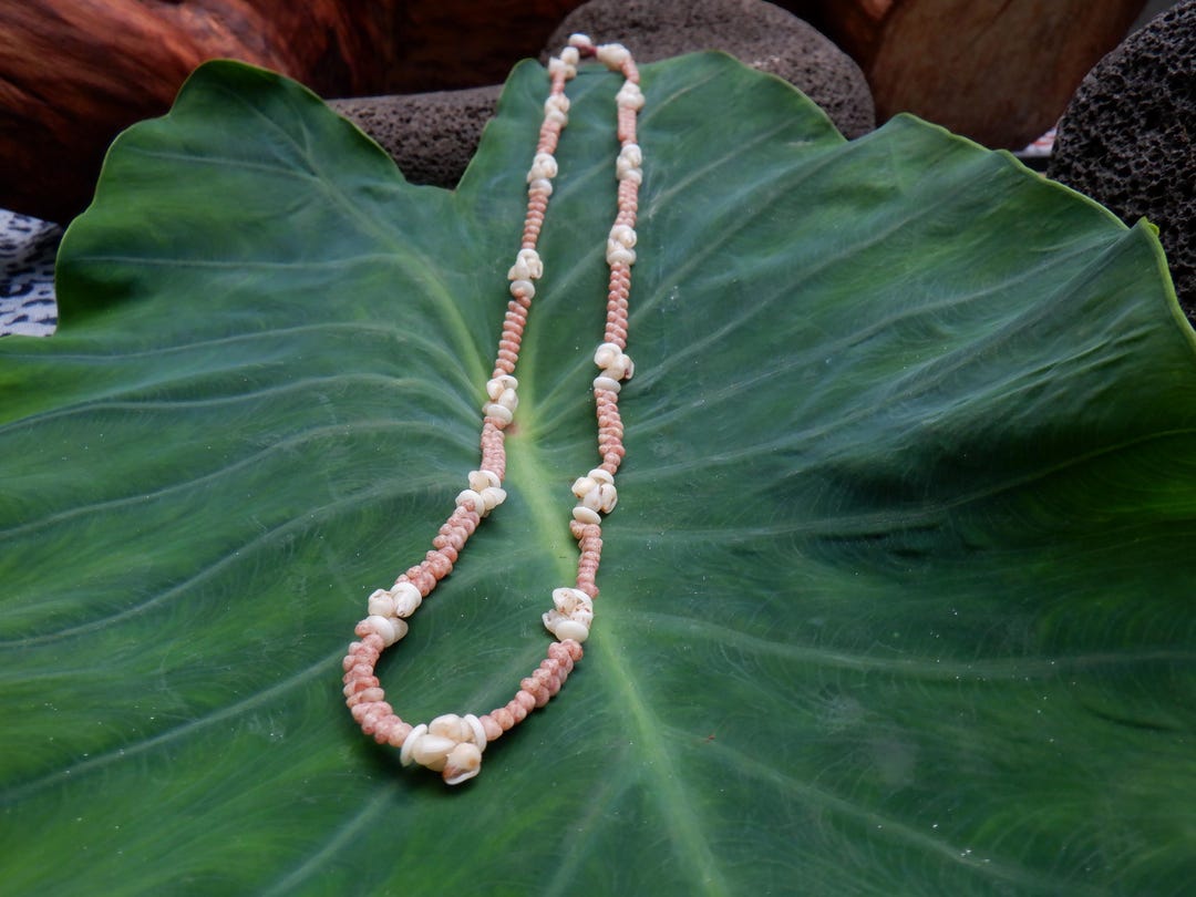 Hawaiian Kahelelani Shell Necklace With Momi Clusters 21in - Kauai - Etsy
