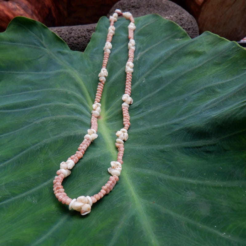 Shell Necklace - Etsy