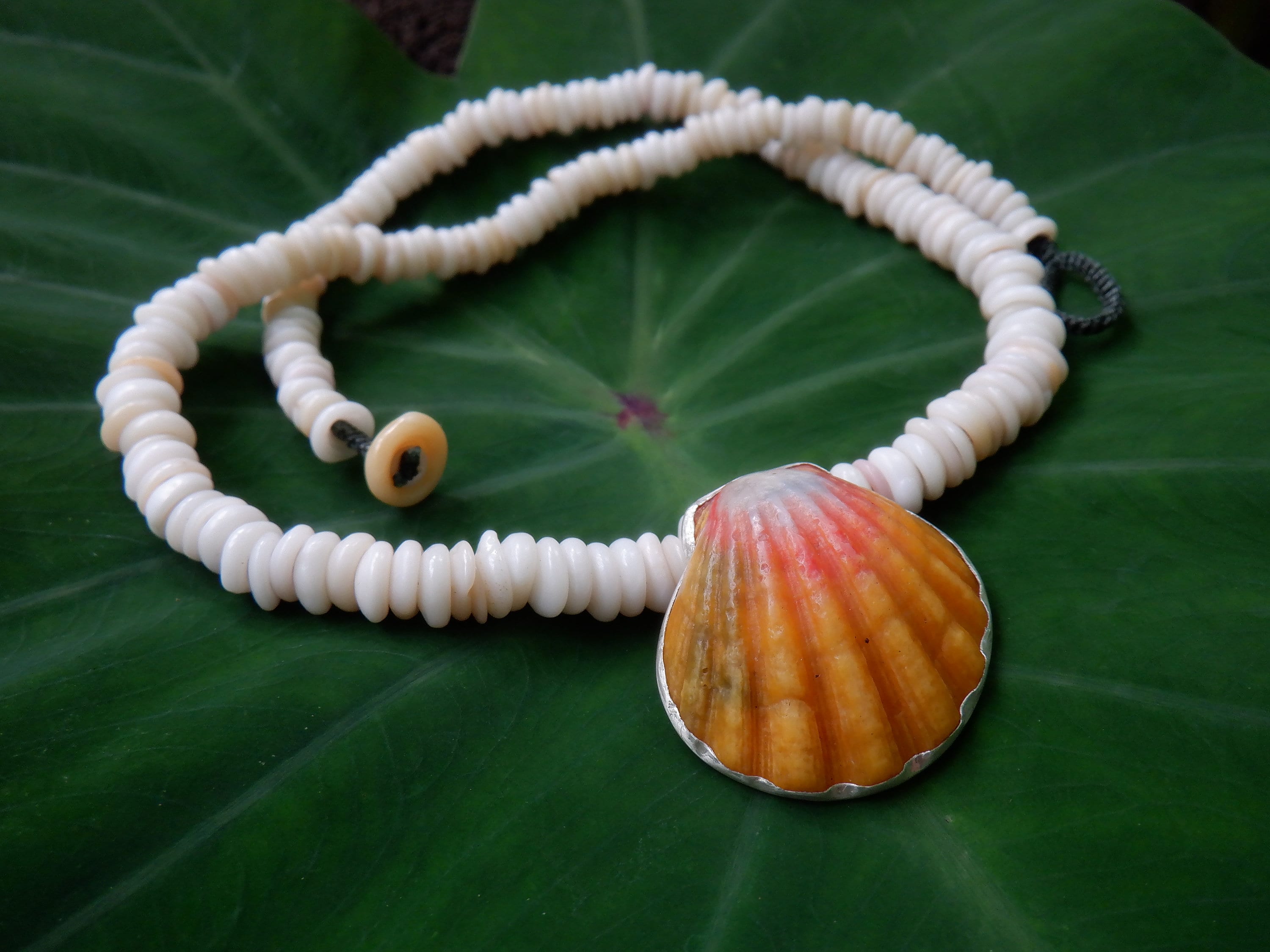 Hawaiian Puka Shell Lei With Sunrise Shell Pendant in Sterling Silver ...