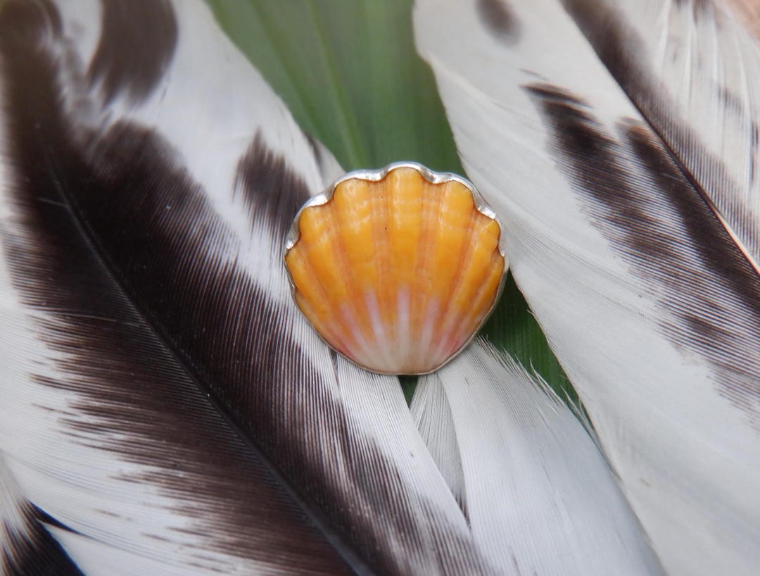 Hawaiian Sunrise Shell Ring With Sterling Silver Bezel and Patterned ...