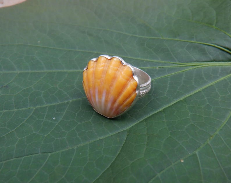 Hawaiian Sunrise Shell Ring With Sterling Silver Bezel and Patterned ...