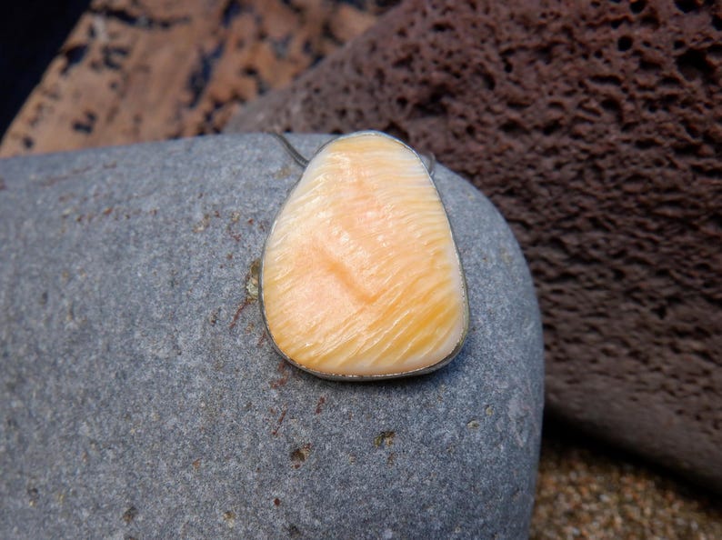 Hawaiian Thorny Oyster / Spiny Scallop Shell Pendant With Sterling ...