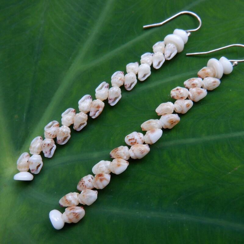 Shell Earrings - Etsy