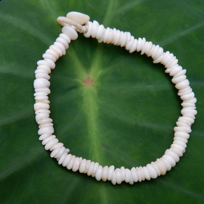 Puka Shells - Etsy