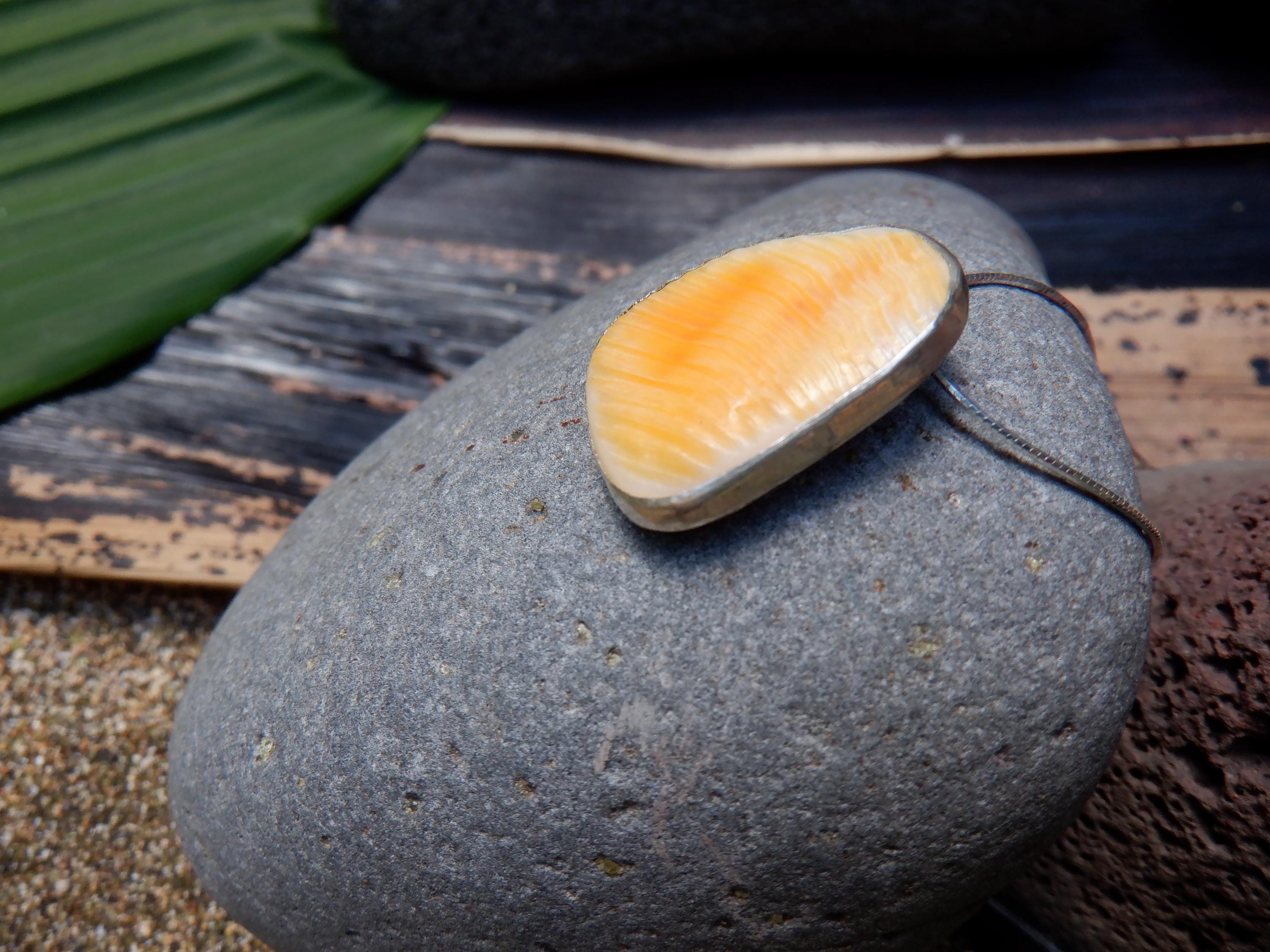 Hawaiian Thorny Oyster / Spiny Scallop Shell Pendant With Sterling ...