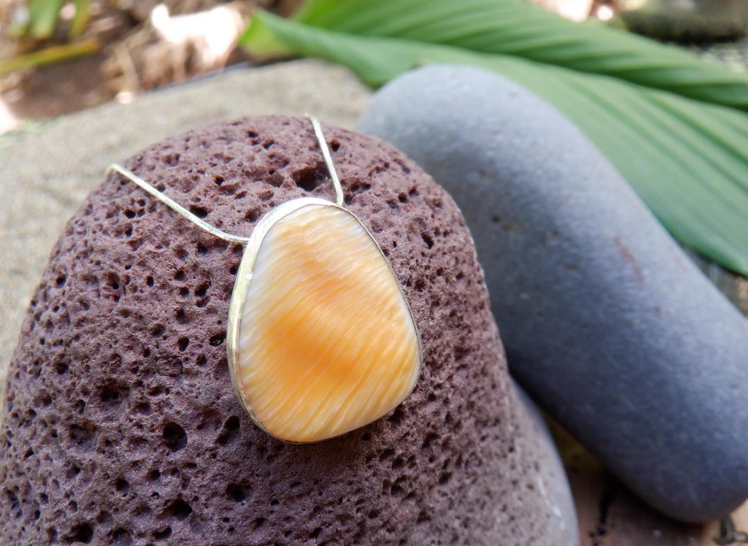 Hawaiian Thorny Oyster / Spiny Scallop Shell Pendant With Sterling ...