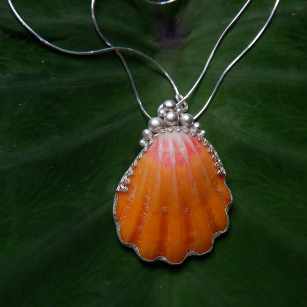 Sunrise Shell Necklace - Etsy