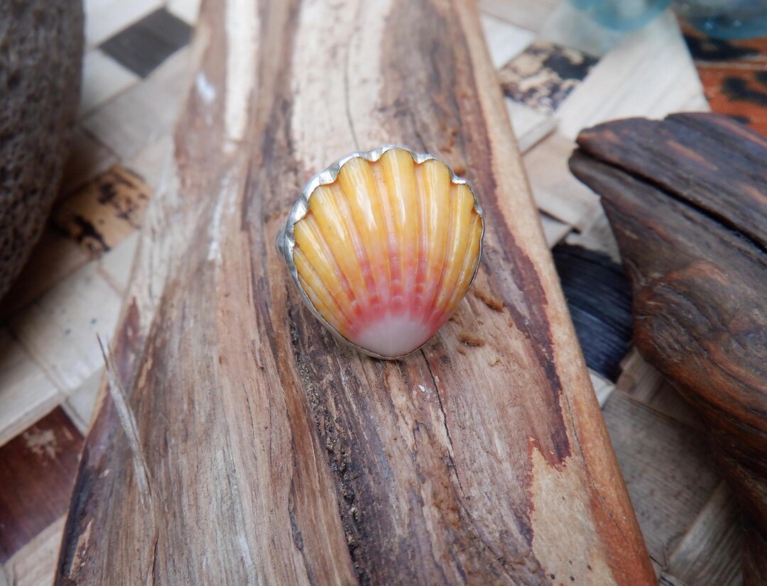 Hawaiian Sunrise Shell Ring With Sterling Silver Bezel and Patterned ...