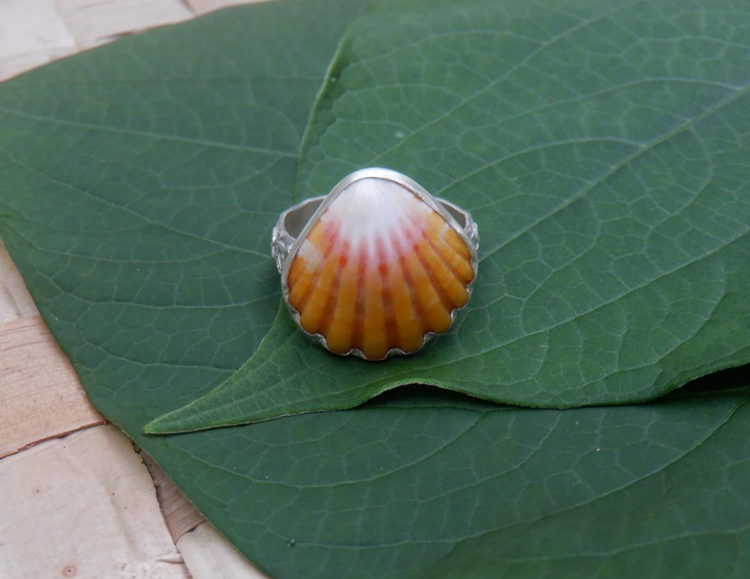 Hawaiian Sunrise Shell Ring With Sterling Silver Bezel and Patterned ...