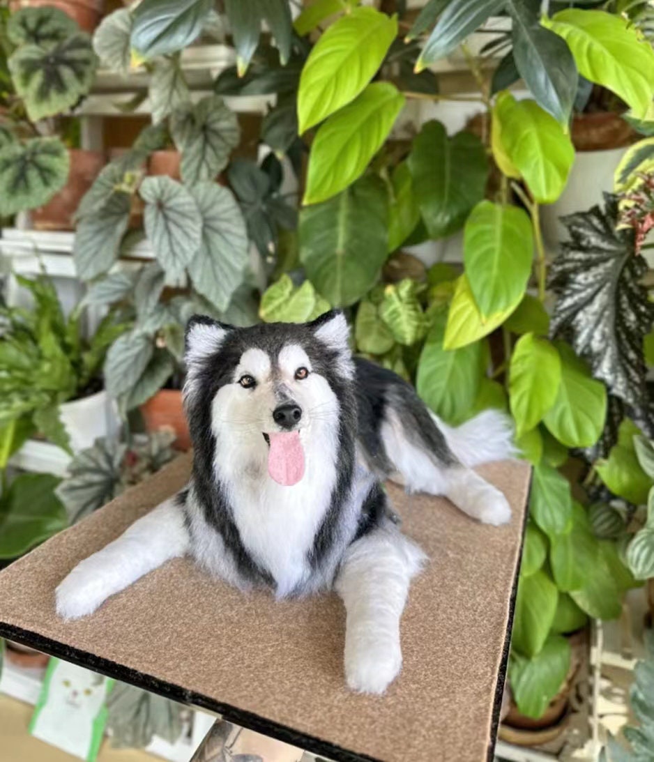 Dog Replica,alaskan Malamute,pet Portraits,pet Memorial,wool Pet ...