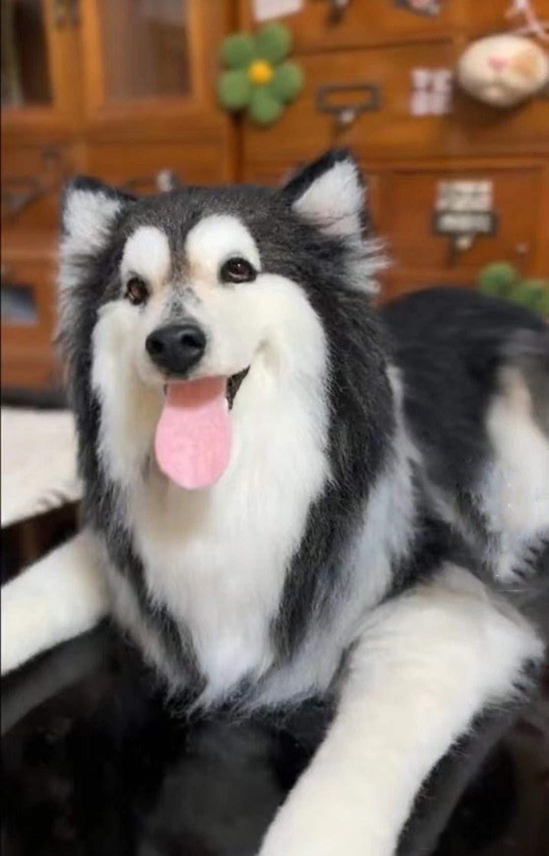 Dog Replica,alaskan Malamute,pet Portraits,pet Memorial,wool Pet ...